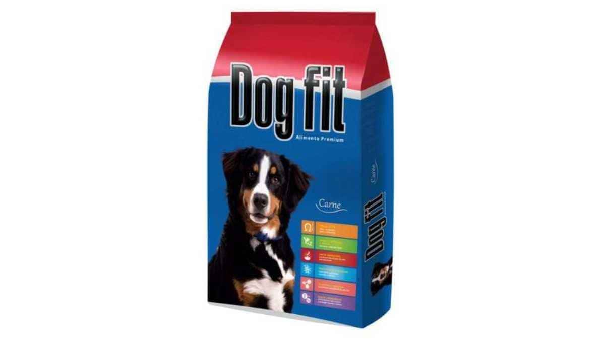 Ração Dog Fit: a alimentação saudável para cães